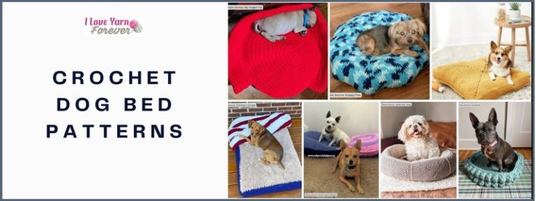Top 10 Free Crochet Dog Bed Patterns - I Love Yarn Forever