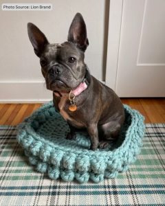 Top 10 Free Crochet Dog Bed Patterns - I Love Yarn Forever